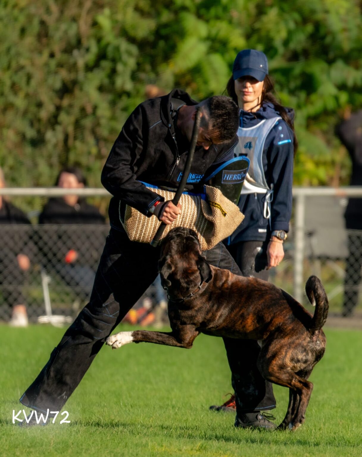 K9-Botschafterinnen gewinnen IGP DM der Boxer: ein Interview mit ...